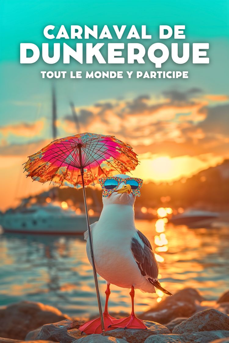 Affiche Carnaval des mouettes - Poster drôle Dunkerque – Posters de nos ...
