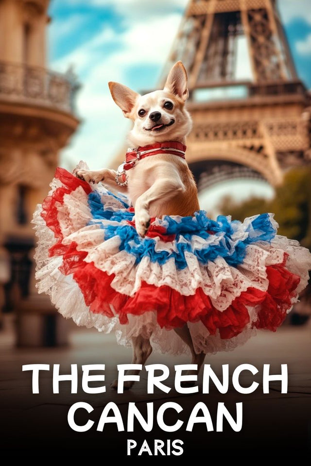 Affiches de Paris - Les incroyables Posters de Paris – Posters de nos régions