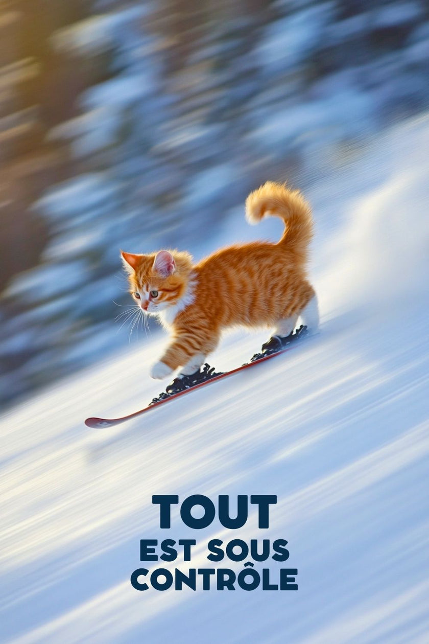 Affiches murales Humoristique - Les posters les plus drôles de France ...