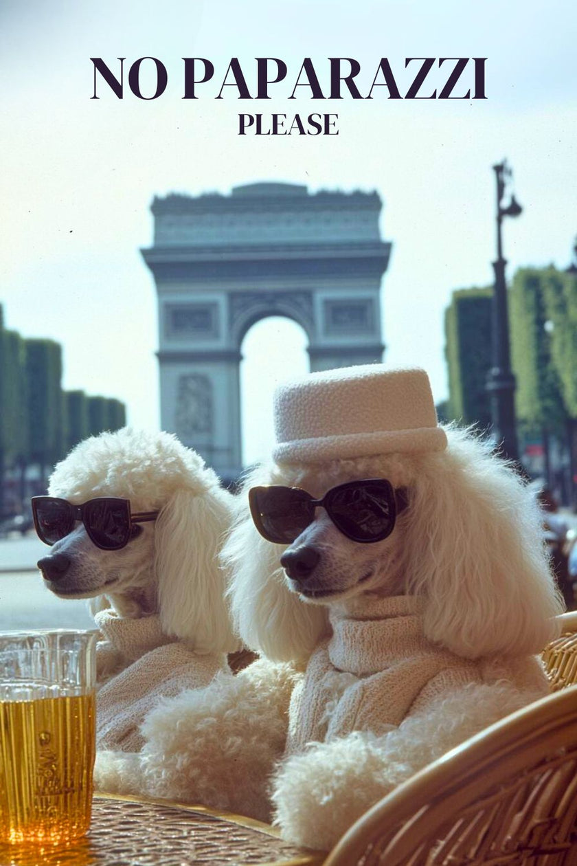 Affiches de Paris - Les incroyables Posters de Paris – Posters de nos régions