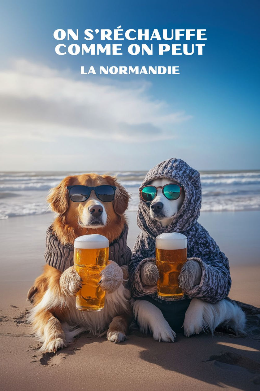 Affiches murales Humoristique - Les posters les plus drôles de France ...