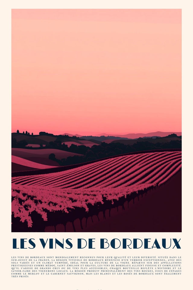Affiches Vin - Poster déco autour du vin – Posters de nos régions
